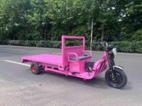 China Electric Transport Tricycle for sale