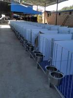 China 10-Stall Linked Calf Pen for sale