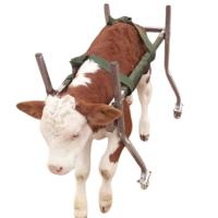 China Calf Walker for sale