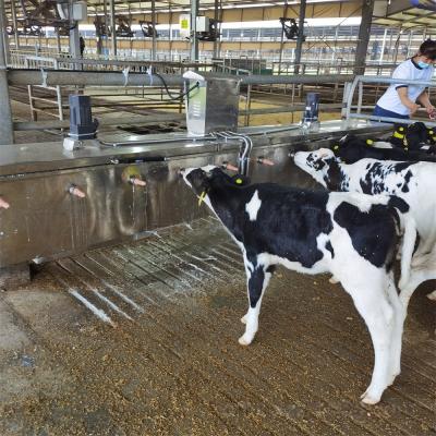 China Rectangular Calf Milk Feeder Automatic Mixing Heated for sale