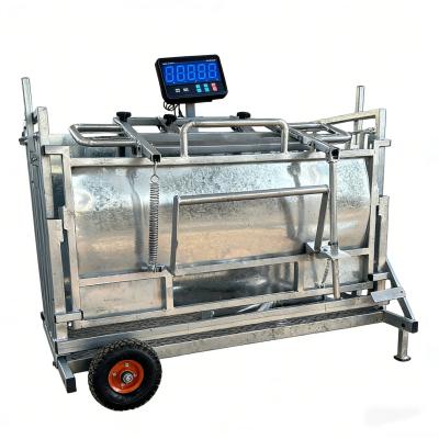 China Sheep Turnover Crate for sale