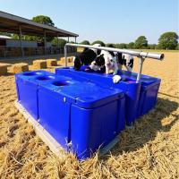 China PE Insulated Heated Livestock Water Trough-3 holes for sale