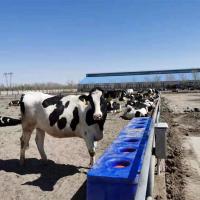 China PE Insulated Heated Livestock Water Trough-6 holes for sale
