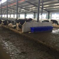 China PE Insulated Heated Livestock Water Trough for sale