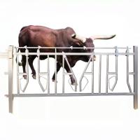 China Cow Headlock-Double Opening(For Long Horn Cattle) for sale