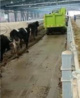 China Diesel Cow Dung Cleaning Machine with 42Kw Power 2400-4500mm Cleaning Width and Automatic Discharge for Livestock Farms for sale
