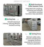 China Cattle Cow Weighing & Sorting System Hot Dip Galvanized Squeeze Chute for sale