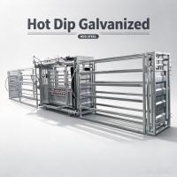 China Cattle Cow Weighing & Sorting System Hot Dip Galvanized Squeeze Chute for sale