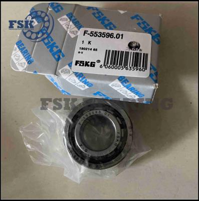 China Premium Quality F-553596.01 Cylindrical Roller Bearing 17×35×14mm Radial Single Row for sale