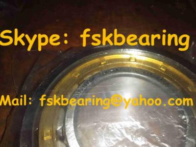 China Chrome Steel / Stainless Steel Cylindrical Roller Bearing for Foaming Machine for sale