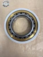 China Insulated BC2-0111 FE/VA862 Double Row Cylindrical Roller Bearing Train Bearing for sale