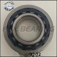China Cylinroll F-554990.02 F-608061 Cylindrical Roller Bearing Non-standard Industrial Bearings Factory Wholesale Retail for sale