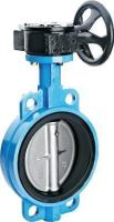 China Estimated Delivery Time Lug Type Midline Butterfly Fay Valve with Normal Valve Stem for sale