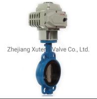 China Auto Sealed Butterfly Valve with Pneumatic Actuator D671-10/16 Customized Request for sale