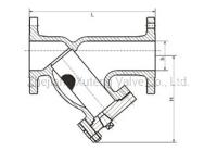 China Stainless Steel Flange Y Type Strainer/Filter 150lb Industrial Valve and Durable Filter for sale
