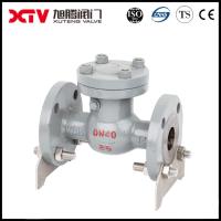China Performance ANSI Swing Type Check Valve for Heavy Duty Wcb/Stainless Steel GB/T 12236 for sale