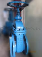 China Flange Connection DN40-400 WCB DIN Gate Valve Z40/Z45 for High Pressure Applications for sale