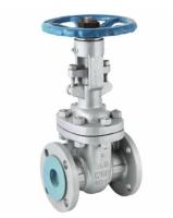 China Oil Media ANSI ISO/Coc/CE Flanged Gate Valve Z40/Z41 30 Days for Hassle-Free Returns for sale