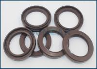 China 108395-001 108395001 TCM FKM Oil Seal High Pressure Seal For Hydraulic Pump for sale