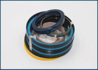China VOE11990170 VOE 11990170 Hydraulic Cylinder Seal Kit For SUNCARSUNCARVOLVO for sale