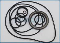 China REXROTH A2FO160 A2FM160 Main Pump Seal Repair Kit For Piston Pump for sale