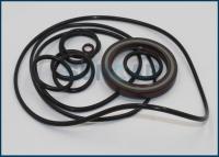 China REXROTH A2FO160 A2FM160 Main Pump Seal Repair Kit For Piston Pump for sale