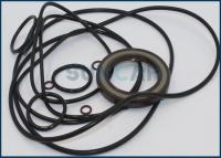 China REXROTH A2FO125 A2FM125 Main Pump Seal Repair Kit For Piston Pump for sale