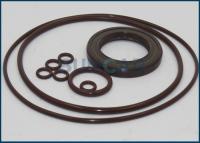 China REXROTH A10VSO63 Hydraulic Main Pump Seal Repair Kit for sale