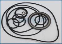 China A2FO160  A2FM16 Rexroth Hydraulic Pump Seal Repair Kit for sale