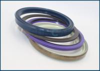 China VOE14749759 14749759 Dipper Arm Cylinder Seal Kit For SUNCARSUNCARVOLVO EC200D for sale