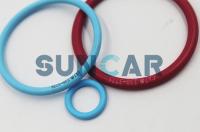 China CA2481394 248-1394 2481394 Kit Injecter For C-A-T C10 C11 C13 C15 C16 C17 C18 New Good quality for sale