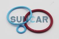 China CA2481394 248-1394 2481394 Kit Injecter For C-A-T C10 C11 C13 C15 C16 C17 C18 New Good quality for sale
