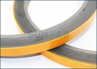 China CA9X4582 9X-4582 9X4582 Seal AS  For C-A-T Track Skidder/Tractor 517 527 D5HTSK 1I D6H D6H II D6H XL D6H XR D6R D6R II for sale