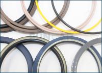 China 4389720 Seal Kit For Hitachi Excavator Arm Cylinder EX135UR-5 EX135US-5 EX140US-5 EX150LC-5 for sale