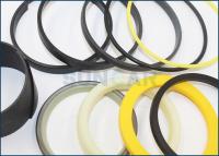China 1543294C1 Seal Kit For Case Light Equipment Backhoe Loader Bucket Cylinder 480F for sale