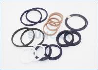 China 401061A1 Seal Kit Steering Cylinder For Case 580N/M/SN/SM/SM+/MXT 588H/G 570NEP/NXT 586H 590SN 586G 585G 590SM/SM+ for sale