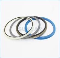 China 31Y1-18420 31Y118420  Seal Kit Arm Cylinder For Hyundai  7-SERIES CRAWLER EXCAVATOR R450LC7 for sale