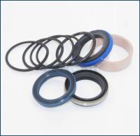 China CA3712697 371-2697 3712697 Seal Kit Lift Cylinder Fits  Caterpillar Loader 216B 216B3 226B 226B3 247B 247B3 for sale