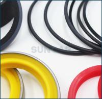 China CA2465925 246-5925 2465925 Seal Kit Hydraulic Cylinder Fits  Caterpillar for sale
