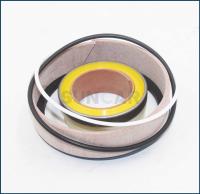 China CA3933606 393-3606 3933606 Seal Kit Lift Cylinder For Cat Track Type Tractor D5M D5N for sale