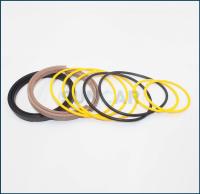 China LZ007300 Boom Cylinder Seal Repair Kit For CNH CX330 CX350B CX350C for sale