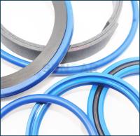 China 991/00142 99100142 Seal Kit Fits JCB Hydraulic Cylinder for sale