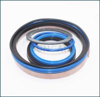 China 991/00159 99100159 Telehandler Loadall Lift RAM Seal Kit for sale