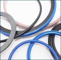China 991/00159 99100159 Telehandler Loadall Lift RAM Seal Kit for sale