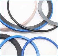 China 991/00159 99100159 Telehandler Loadall Lift RAM Seal Kit for sale