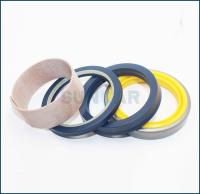 China CA4483564 448-3564 4483564 Seal Kit Cylinder Fits Cat for sale