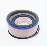 China CA4483564 448-3564 4483564 Seal Kit Cylinder Fits Cat for sale