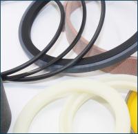 China CA2959893 295-9893 2959893 Seal Kit Boom Cylinder For Cat Backhoe 420E 420F 432E 434E for sale