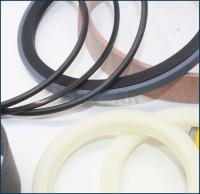 China CA2959893 295-9893 2959893 Seal Kit Boom Cylinder For Cat Backhoe 420E 420F 432E 434E for sale