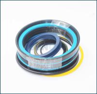 China VOE 6630559 VOE6630559 Hydraulic  Cylinder Seal Kit For Volvo  Excavator 4400 for sale